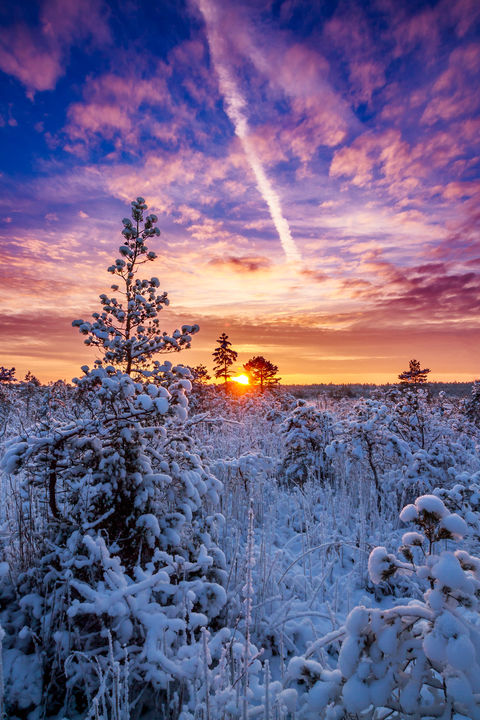 Winter magic, Estonia - Liina Prohhorov