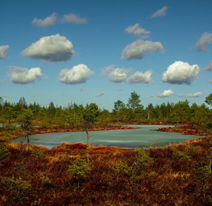 Mukri raba laugas - Anari Sillakivi photos